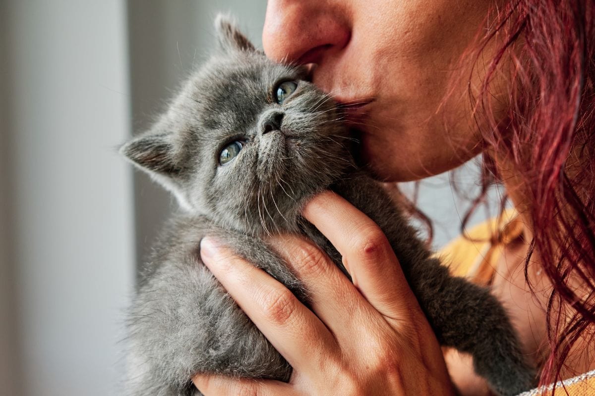 Cat Slang Terms: All You Need To Know About Cat Speak